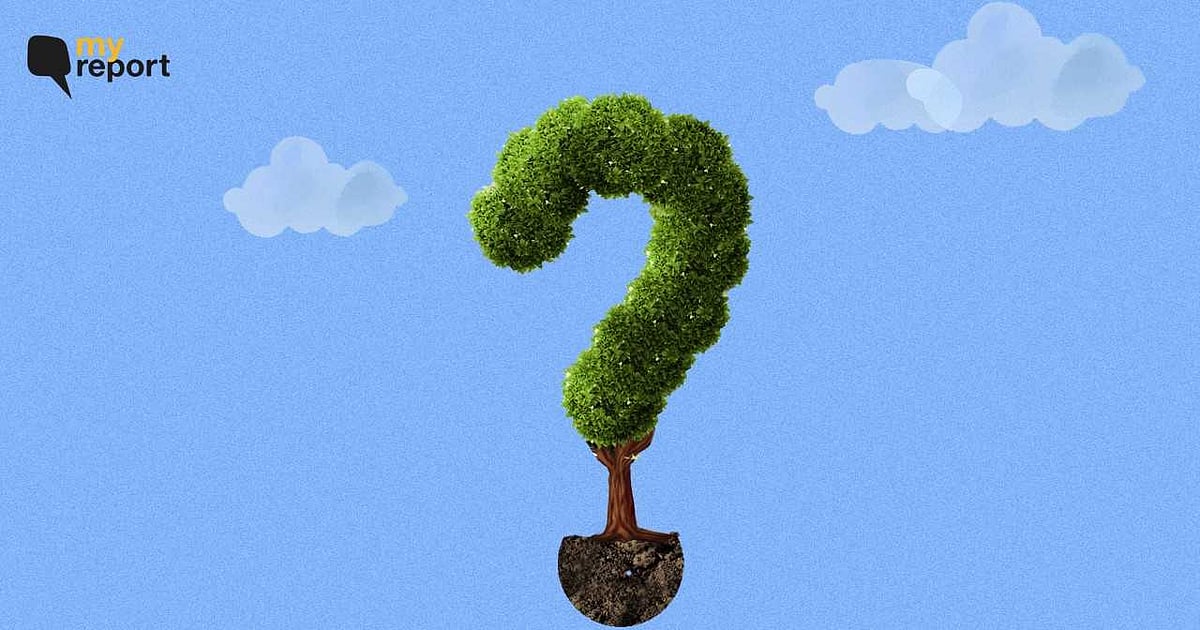 My Report: Activist Ravina Raj Kohli writes an open letter to the ...