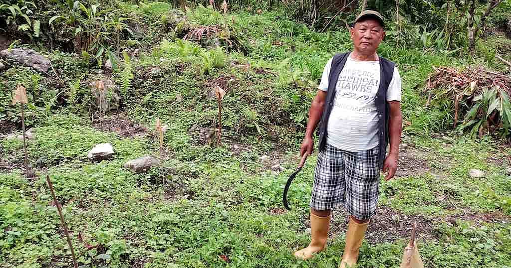 Upland Farmers in West Bengal’s Kalimpong Shift to Coffee for Better ...