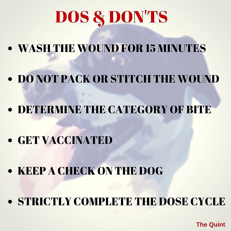 Dog Bite First Aid Dos And Donts