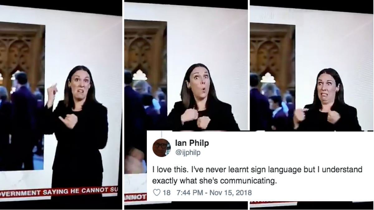 BBC Sign Language Interpreter Explains Brexit Most Accurately