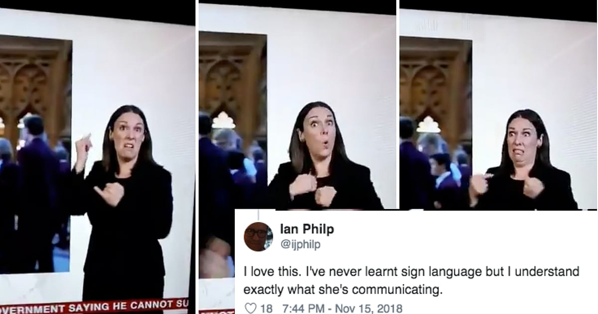 BBC Sign Language Interpreter Explains Brexit Most Accurately