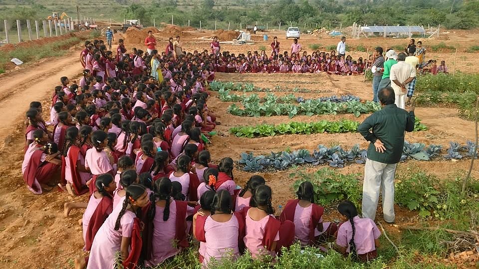 #GoodNews: Once Arid, This AP Village is a Model of Sustainability