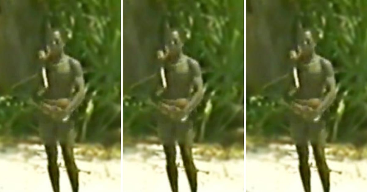 Sentinelese Tribe: The 60,000 Years Old Tribe of Andaman Island?