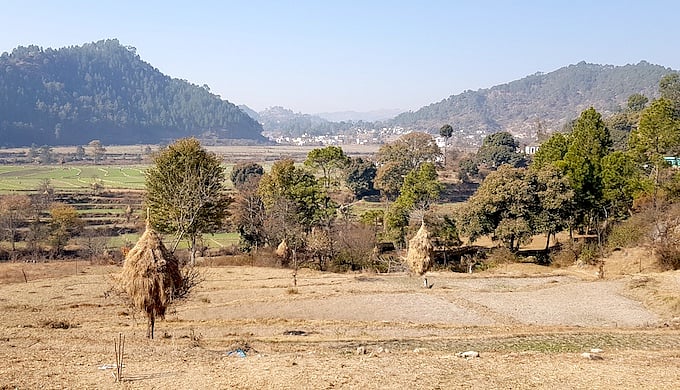 Spring-Fed Rivers in The Indian Himalayas Are Drying Up
