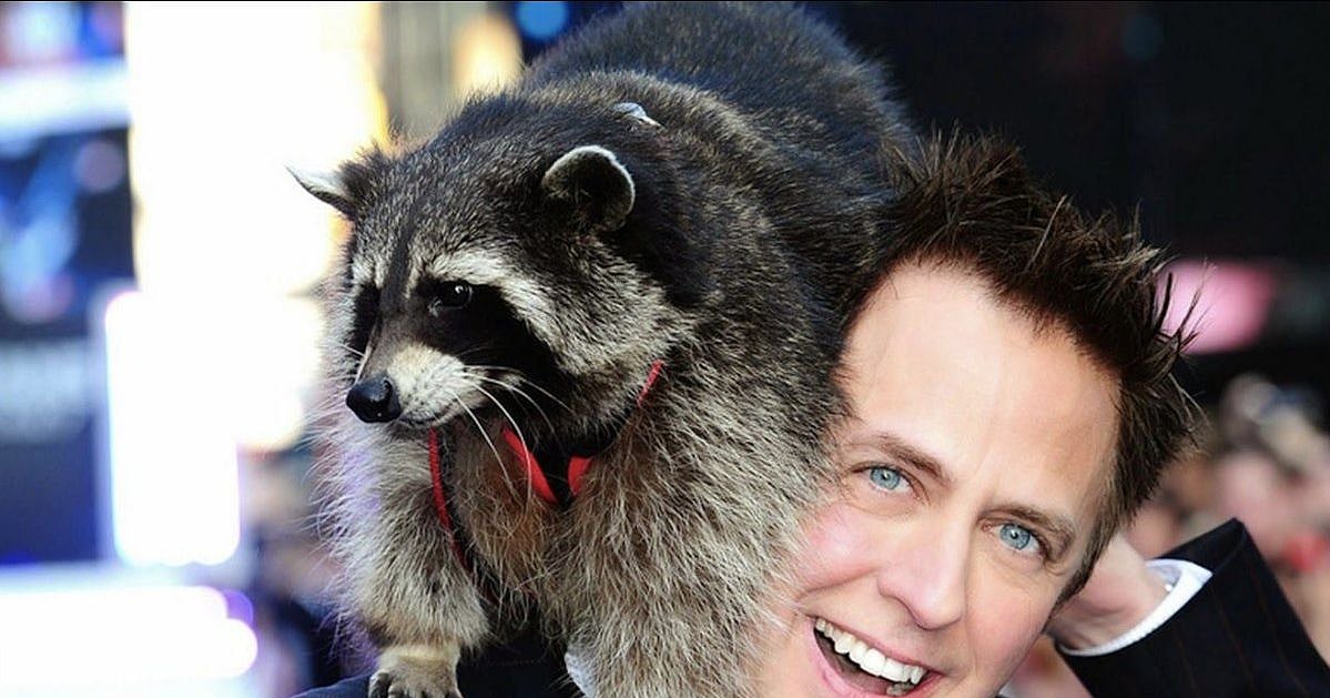 Oreo the Raccoon, Model for ‘GOTG’ Character Rocket, Has Died