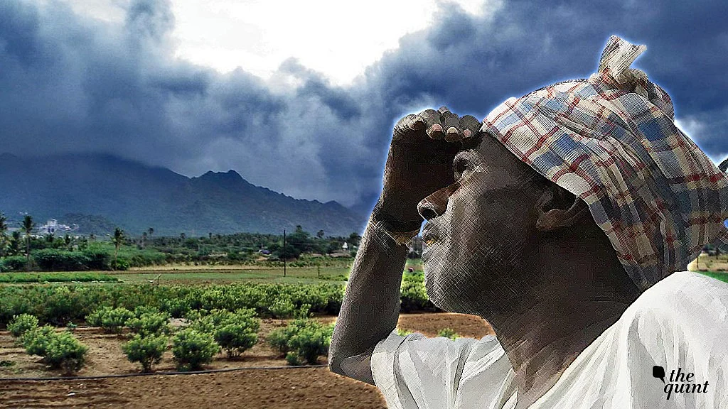 ‘Do Hectare Zameen’– The Life of the Indian ‘Marginal’ Farmer | Blog