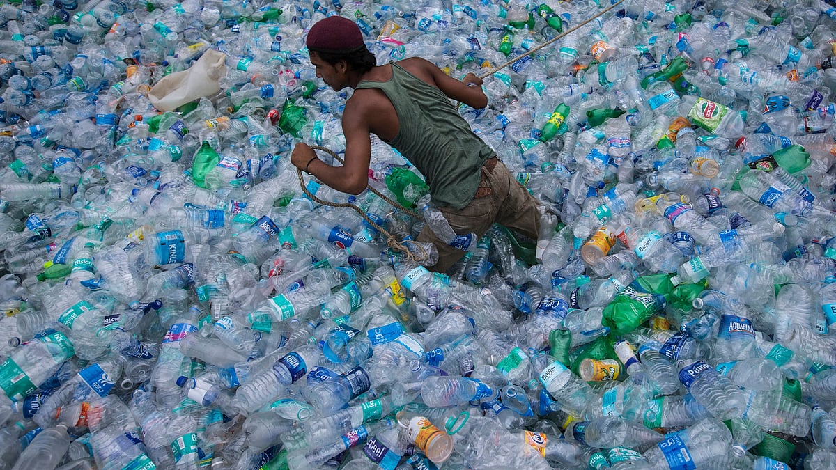 Ocean plastic waste News: Top Stories, Latest Articles, Photos, Videos ...