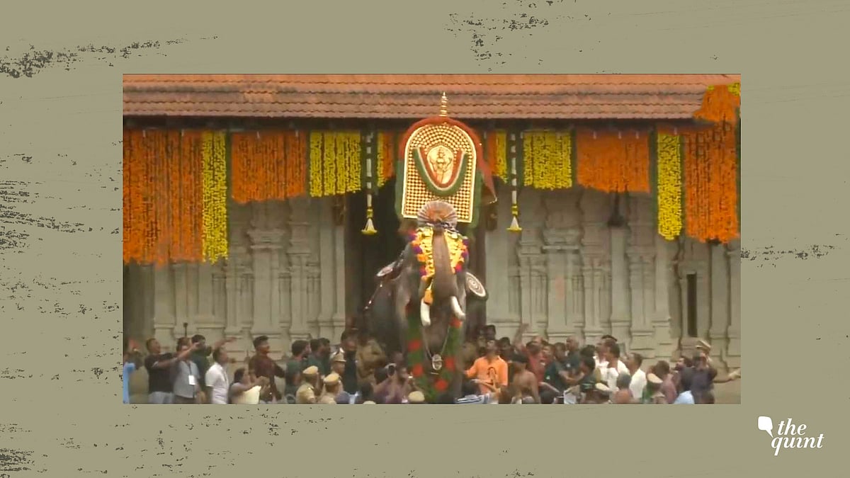 Kerala’s Tallest Elephant Flags Off The Thrissur Pooram Festival