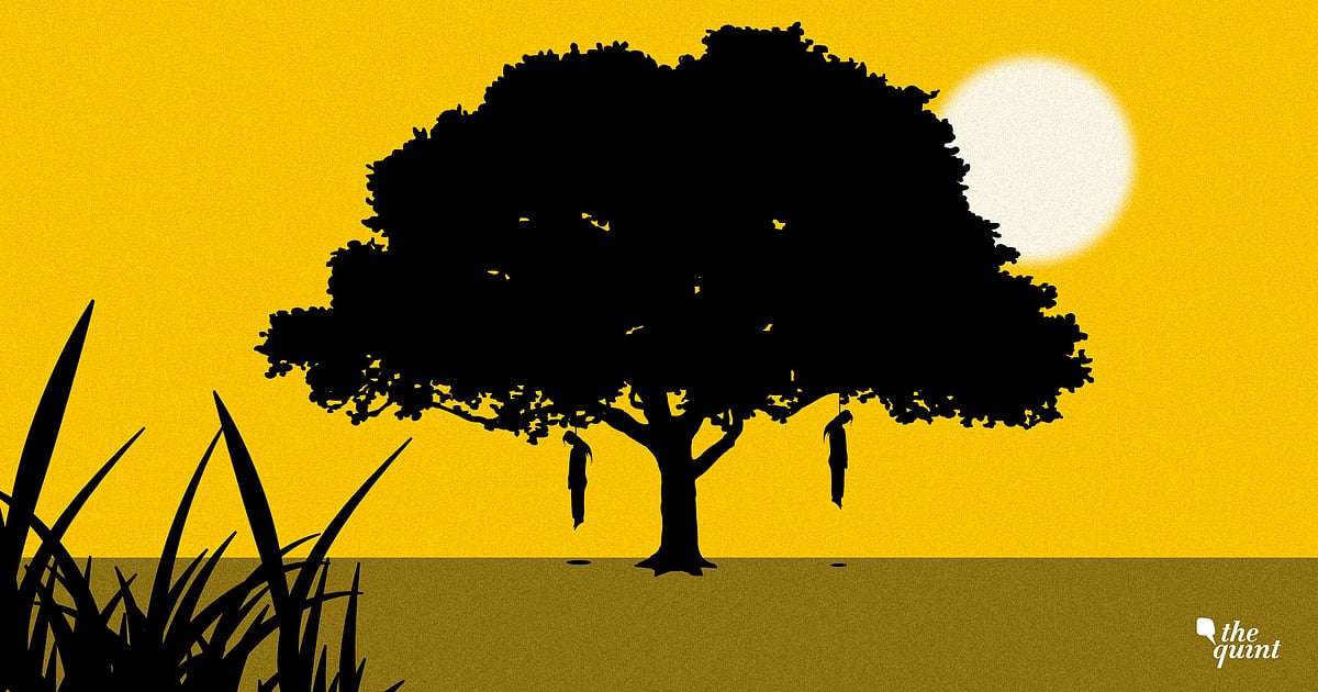 Ayushman Khurana-Starrer ‘Article 15’ Is Based on Badaun Gang-rape and ...