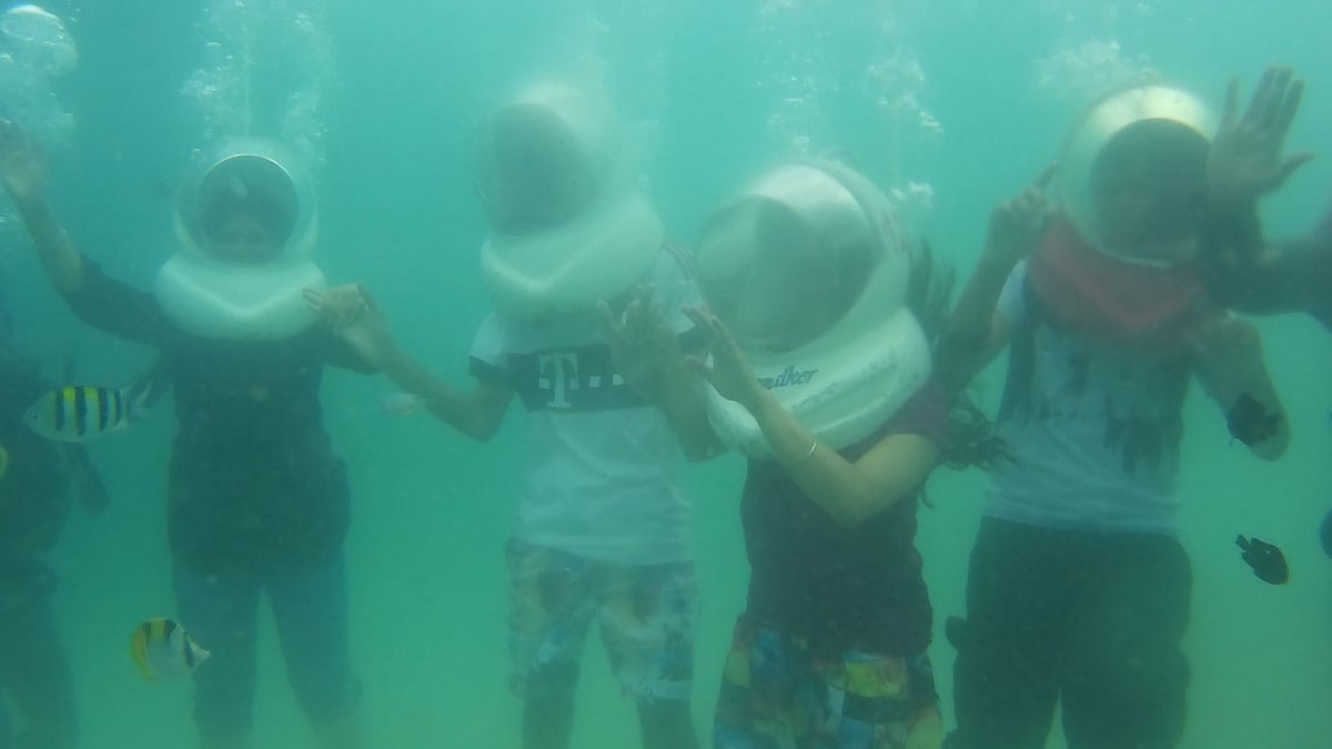 What is Underwater Sea Walk? All You Need to Know About underwater Sea ...