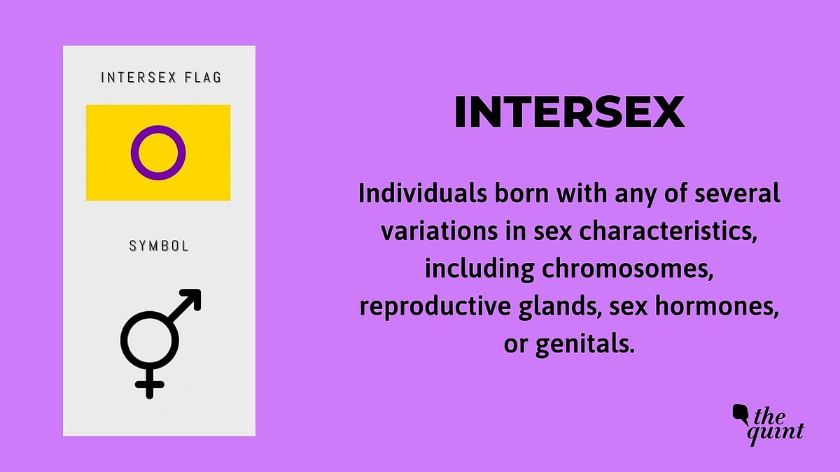 LGBTQ pride month 2019: All you need to know about LGBTQ+ community