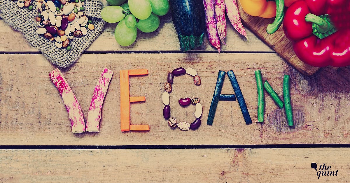 Water Wars: Will Going Vegan Help Save Water And Hinder Impact of ...