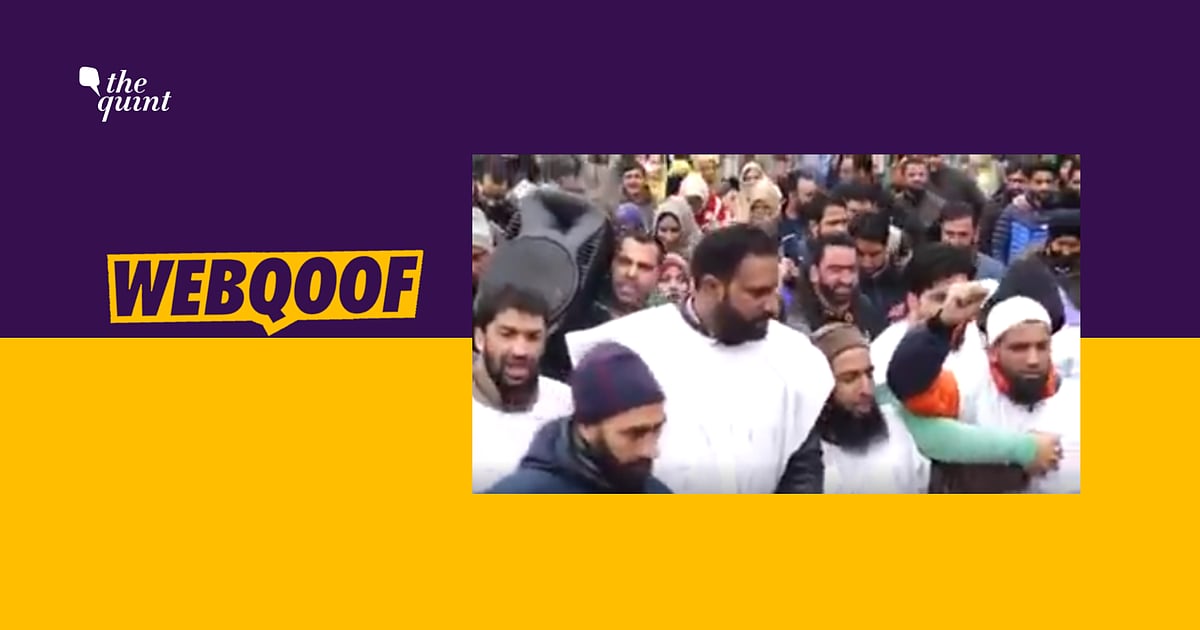 Protest Against Article 370 in Kashmir Viral Video Fact Check: Old ...