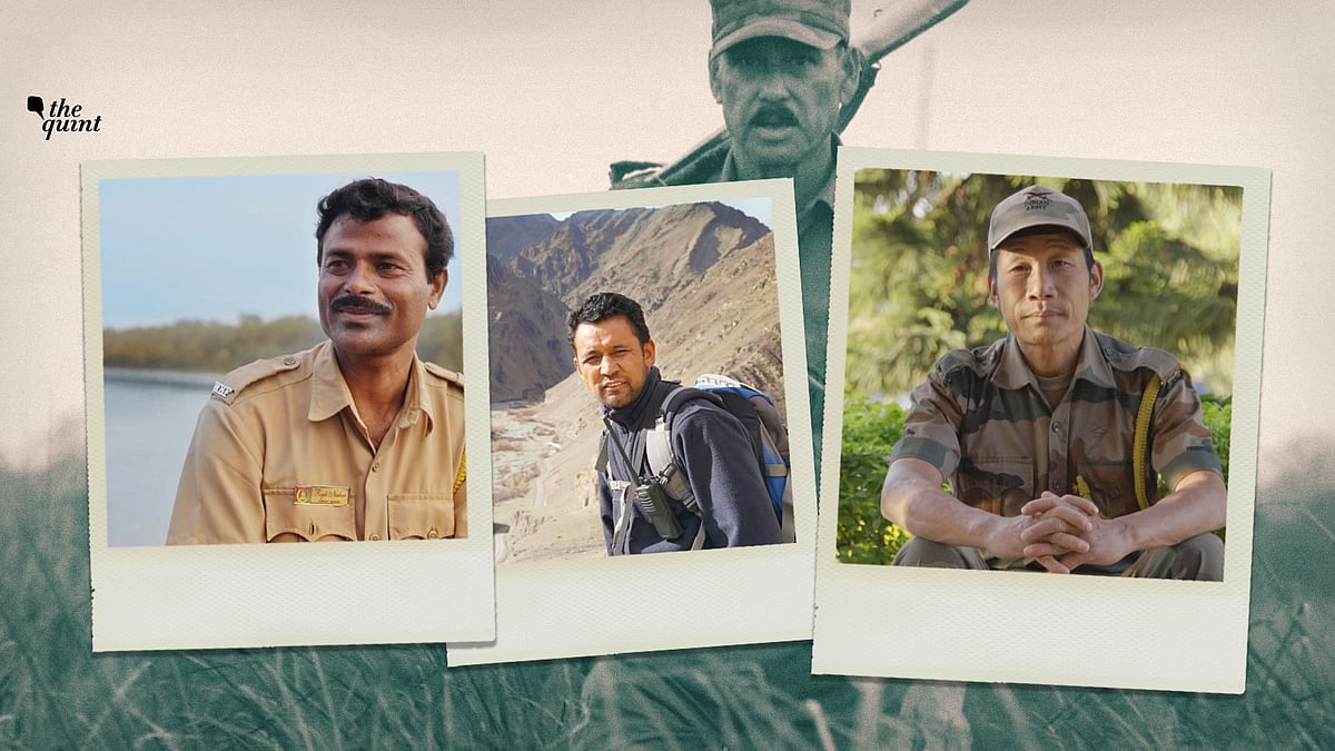 How Forest Guards, With Lean Pay & Life on Line, Protect the Wild