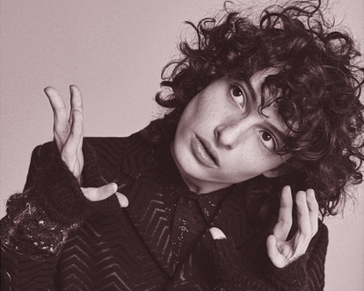 Why Finn Wolfhard was perfect fit for 'The Goldfinch'
