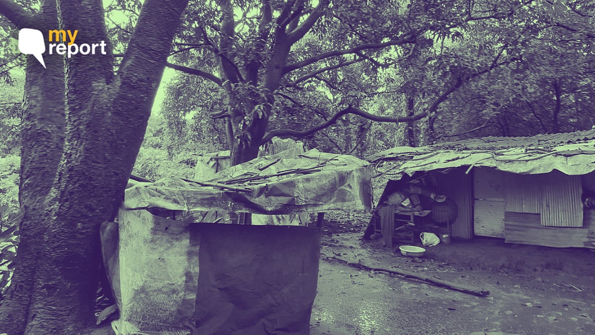 Mumbai’s Aarey Forest Deforestation: Adivasis Living in Aarey Forest ...