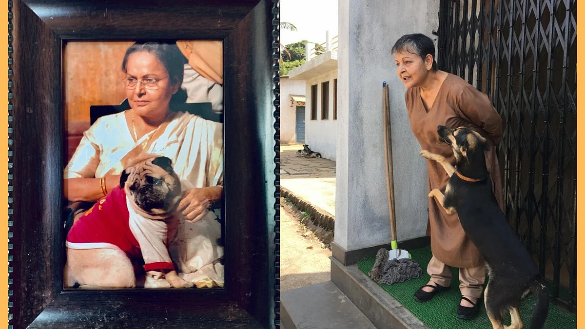 Rakhee Gulzar interview: Seclusion Has Been My Choice, Says Raakhee ...