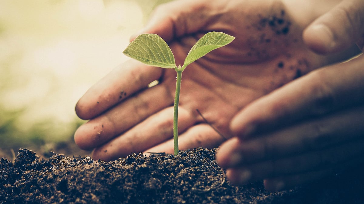 Natural Climate Solutions: An Opportunity for Transformation