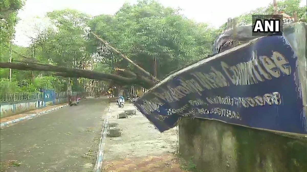 Cyclone Bulbul: 10 Killed in West Bengal, 8 Killed in Bangladesh