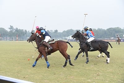 Polo gets an arena on grass format