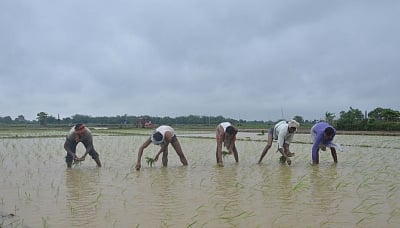 RS: PM-Kisan registration, telecom sector revival raised