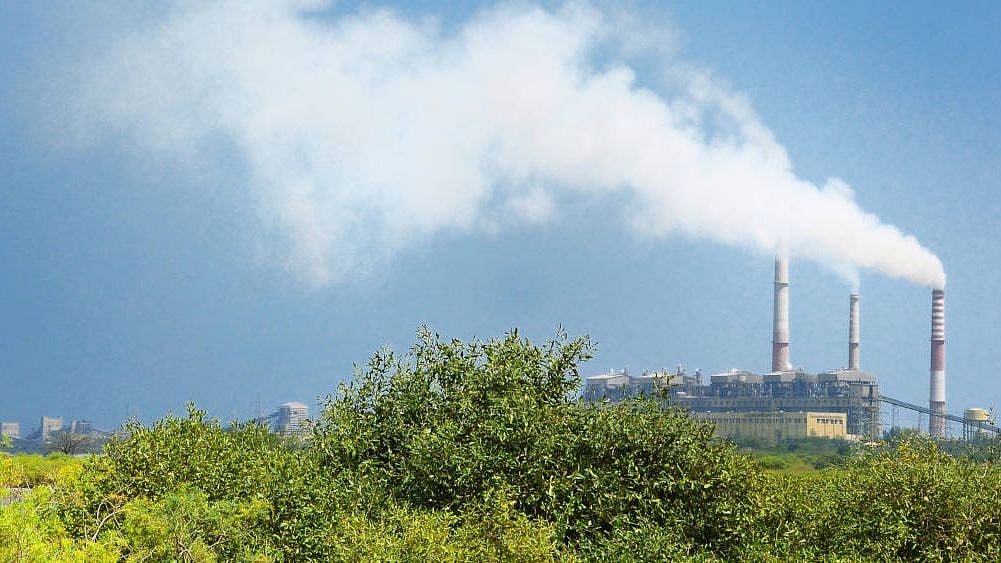 How Govt Push For Ease Of Doing Business Is Compromising Environment ...