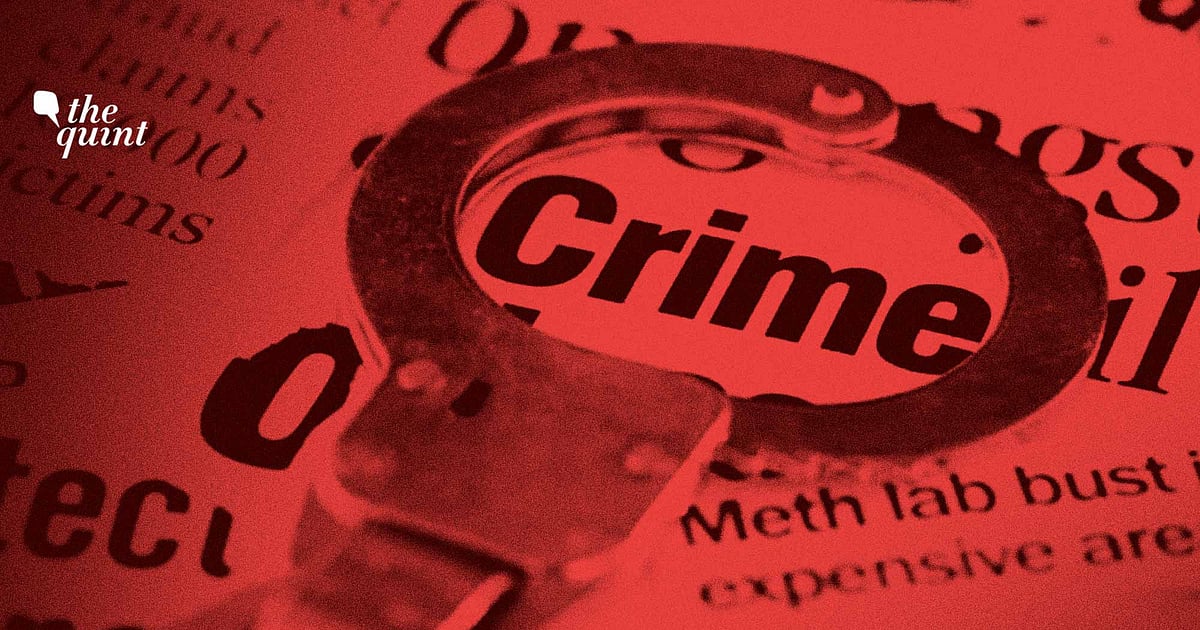 Environment Crimes See a 4% hike in 2021: NCRB