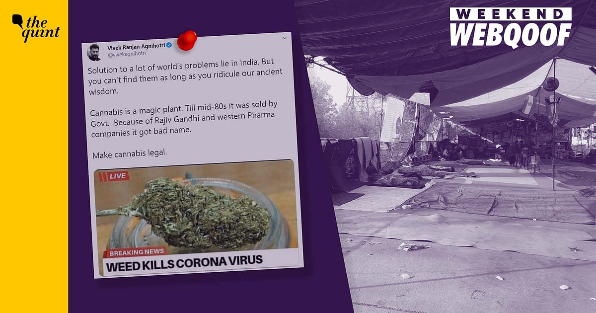 WebQoof Recap: From Empty Shaheen Bagh to Weed Curing Coronavirus