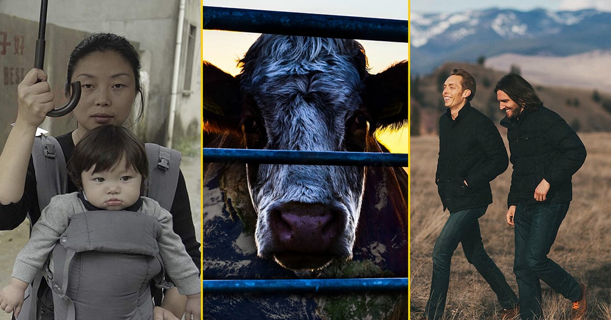 Top Documentaries on Netflix, Amazon Prime, and Hotstar: Virus Hunters ...