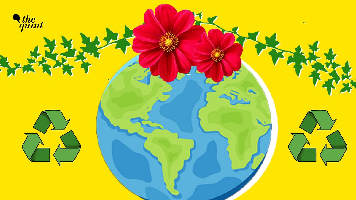 Happy Earth Day 2020: The History of Earth Day on its 50th Anniversary