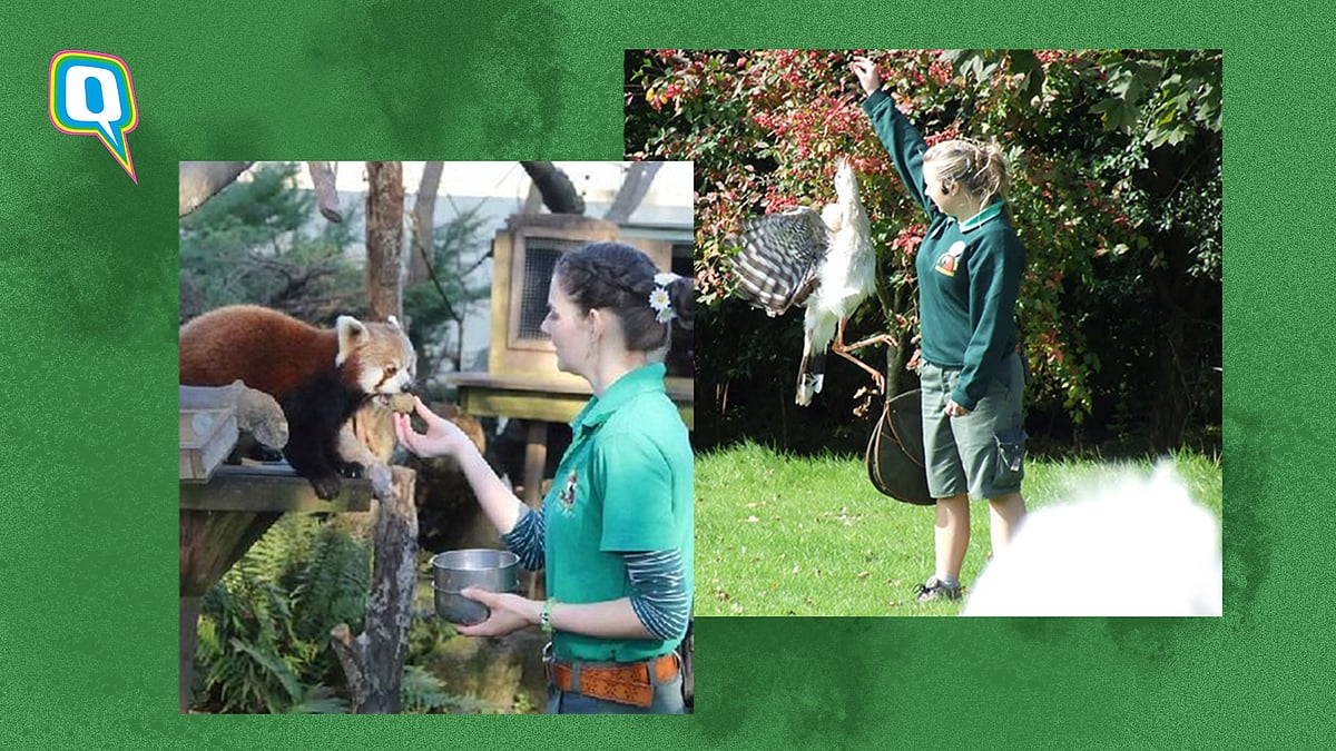 Four UK Zookeepers Turn Their Office Into Their Home: Izzy, Emily ...