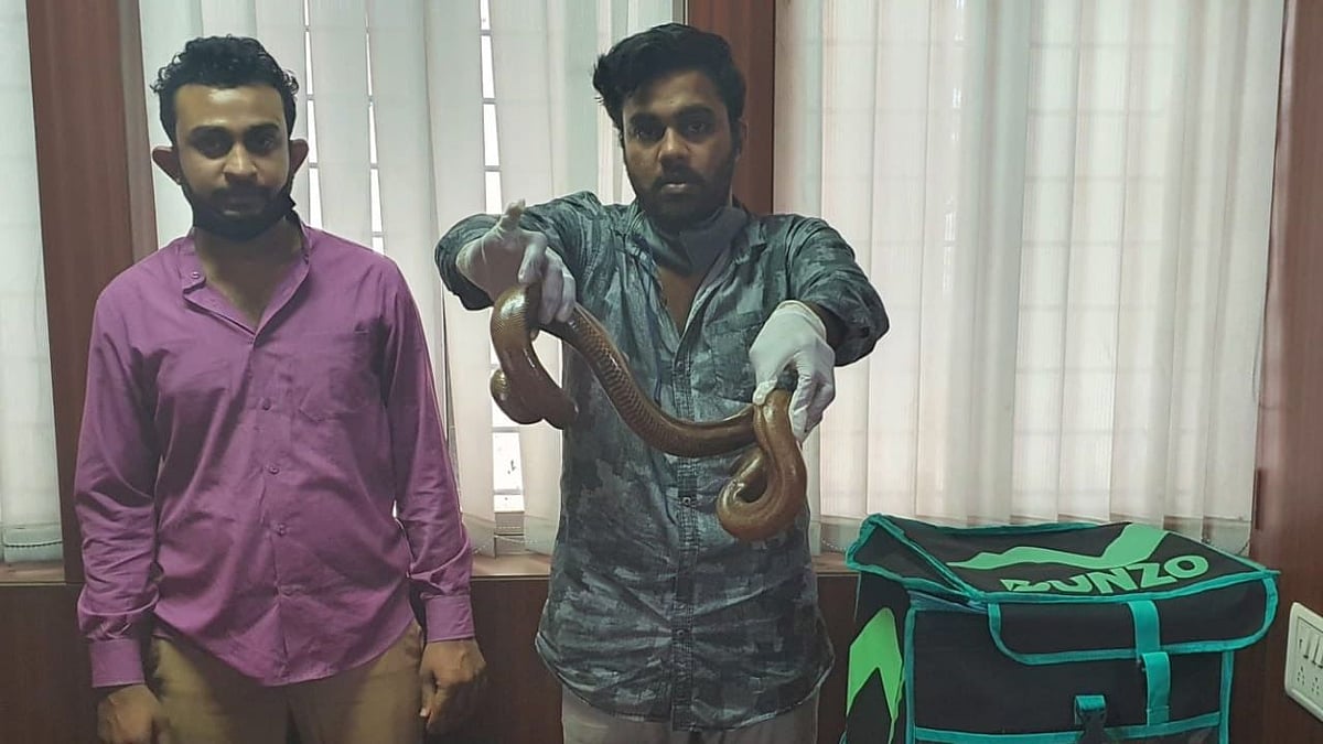 2 Held for Selling Snake Disguised as Delivery Agents in Bengaluru