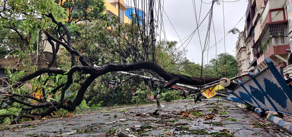 Cyclone Amphan: 72 Dead in West Bengal; Trees Uprooted, Buildings Damaged