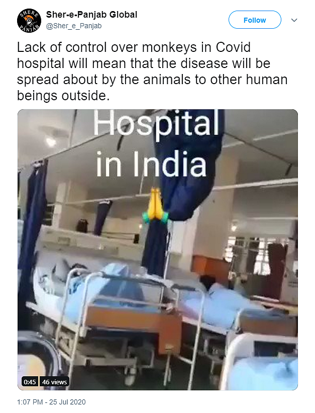 Fact check of Monkeys in Indian Hospital: Old Video from South Africa ...