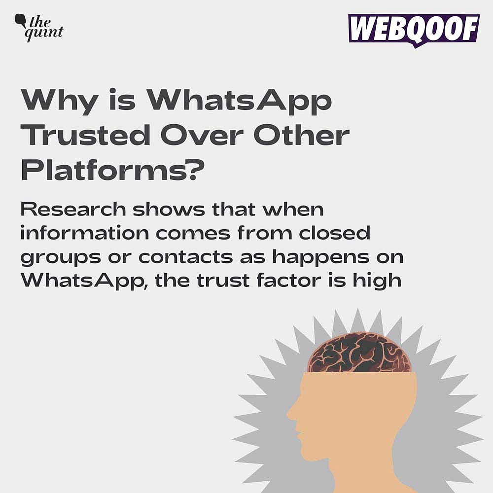 Fake News Fact Check: Why Do People Believe in Fake News Even After ...