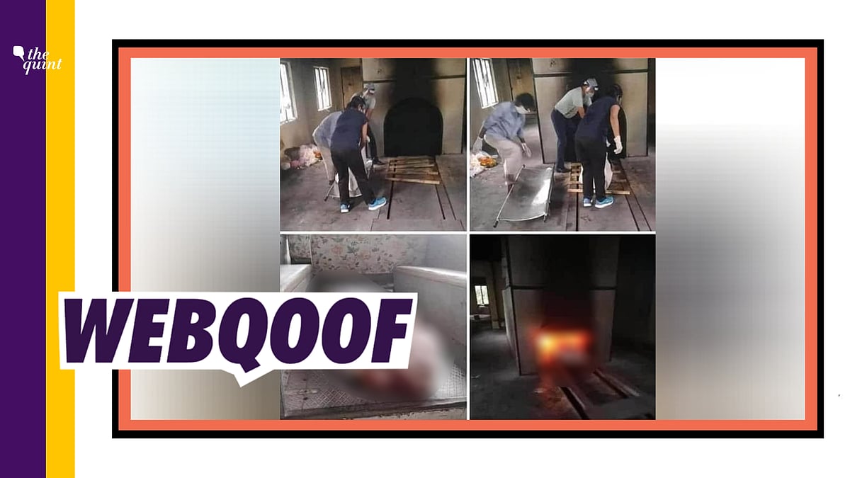 Fact Check of Organ Trafficking Racket in Maharashtra | Unrelated ...