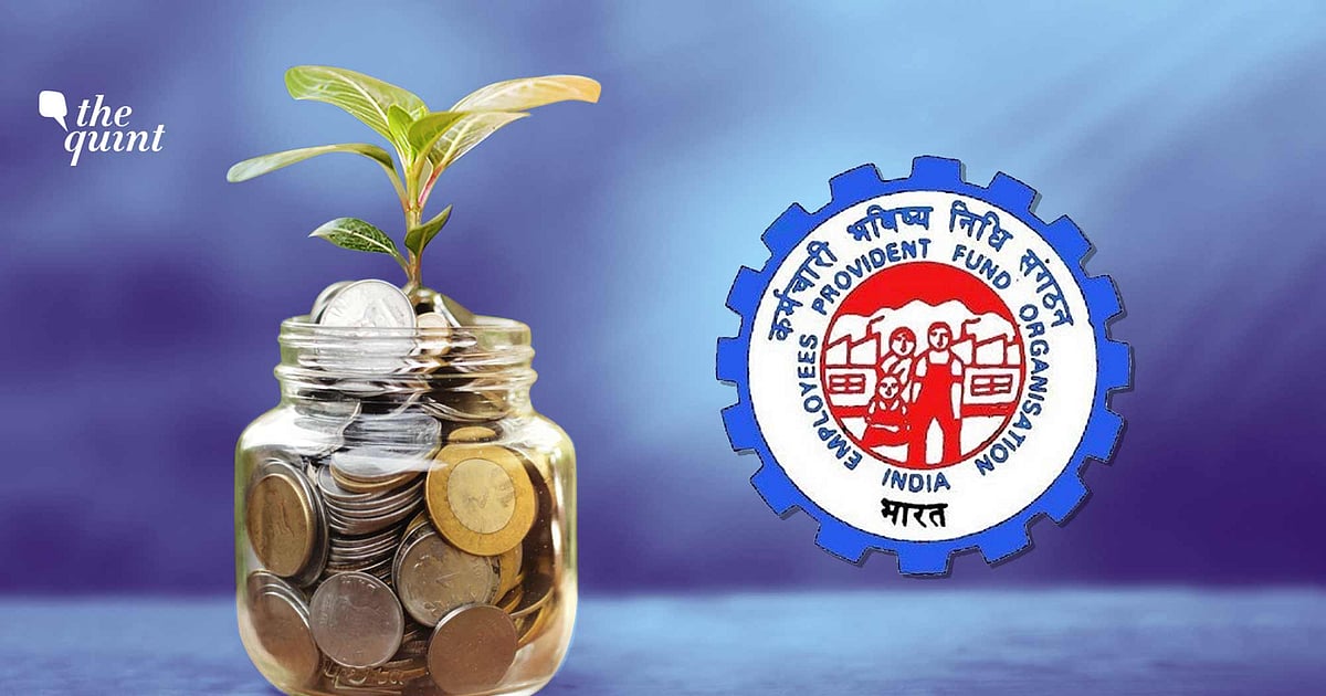 New PF Tax Rules FAQ: Will I Need to Pay Income Tax on My EPF Interest ...