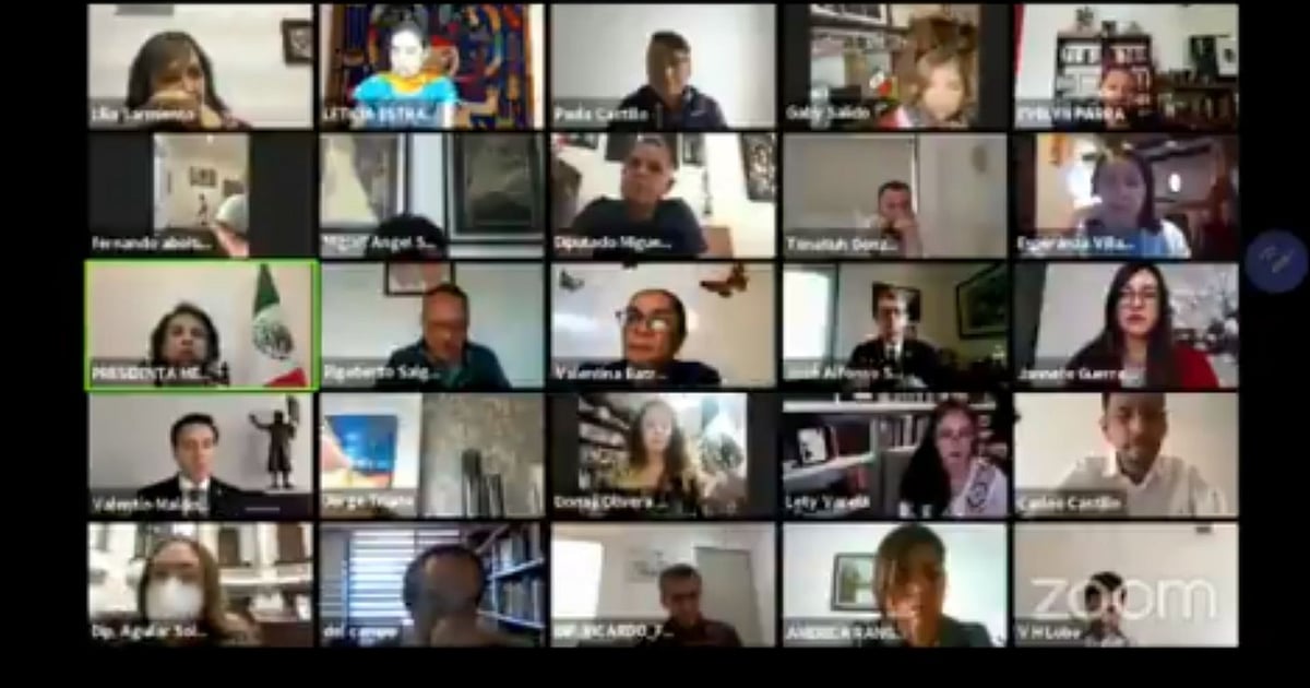 Zoom Hack: Woman Uses Pic of Herself To Sneak Out of Video Call