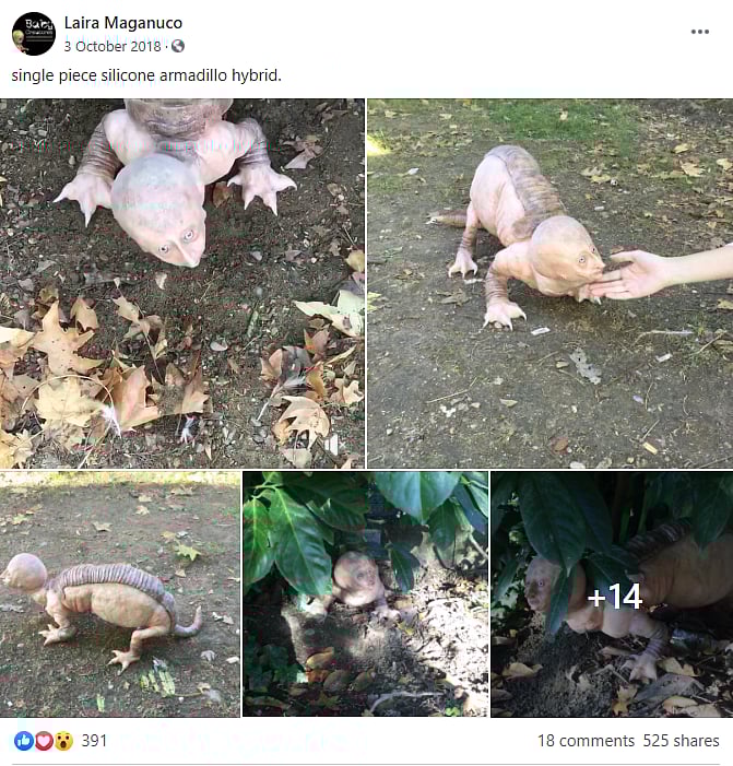 Fact-Check: ‘Alien’ Creature Spotted in India? No, It’s a Silicone ...