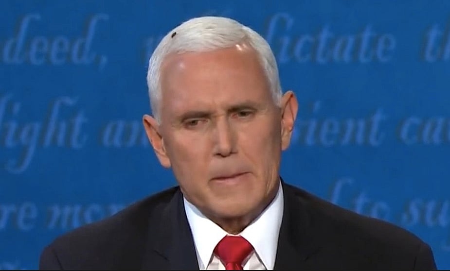 US Vice President Debate 2020: Kamala Harris, Mike Pence & The Fly That ...