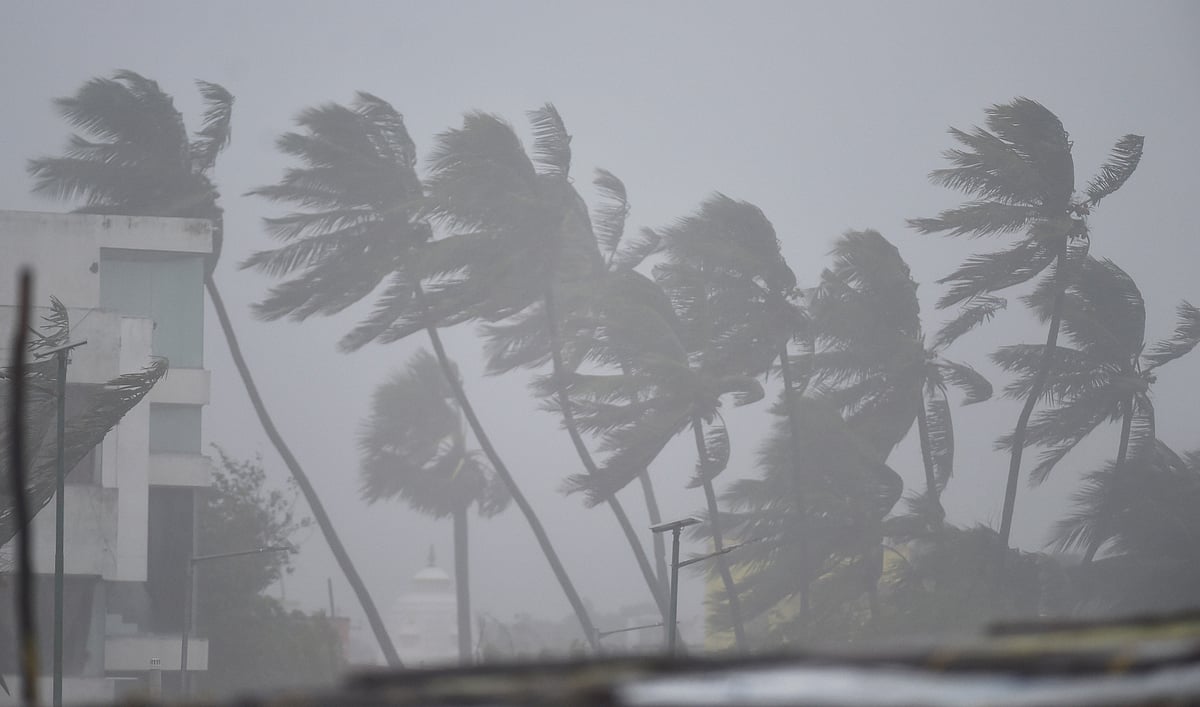 3 Died in Cyclone Nirvar Before it Began to Weaken, Rains Continue