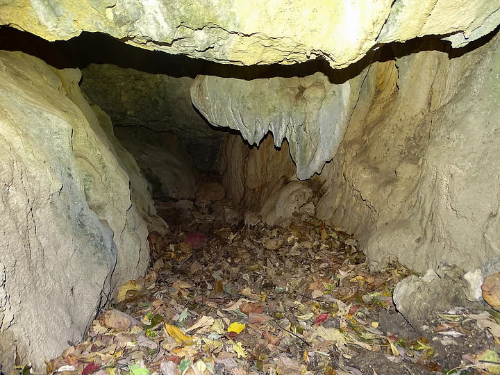 How Can Uttarakhand’s Endangered Van Raji People Be Saved Without ...