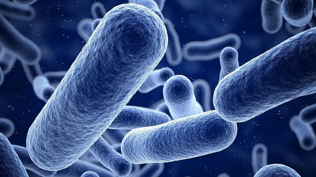 Shigella Outbreak in Kerala: How It Spreads? What’re the Symptoms?
