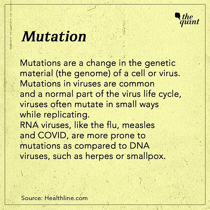 COVID Dictionary: What’s the Difference Between Strain & Variant?
