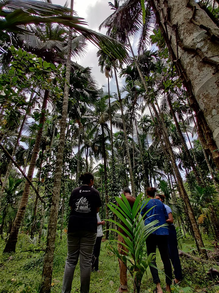 VIDEO | ‘My Mollem: Goa’s Green Heart’ is a film about the Save Mollem ...