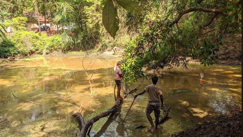 Goans Join Hands With Migrant Workers To Revive Dying Ponds