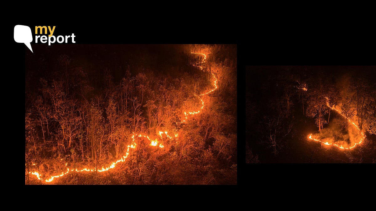 Video | Similipal Forest Fire Ground Report: Similipal National Park ...