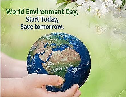 Environmental Awareness Slogans Posters