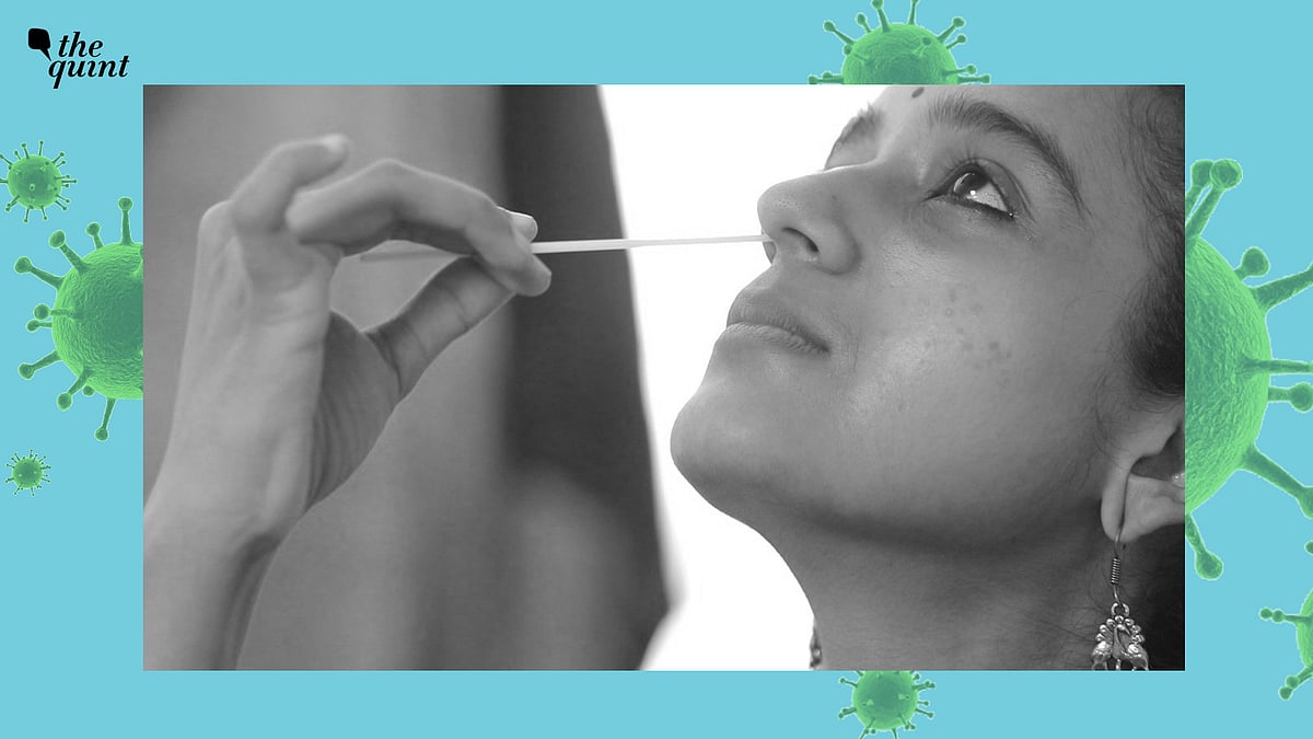 COVID Self-Test Kits FAQ: How to Take the Test at Home? Who Can Buy It ...