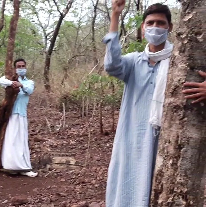 Save Buxwaha Forest Protest: 2 Lakh Trees To Be Cut To Make Way For ...